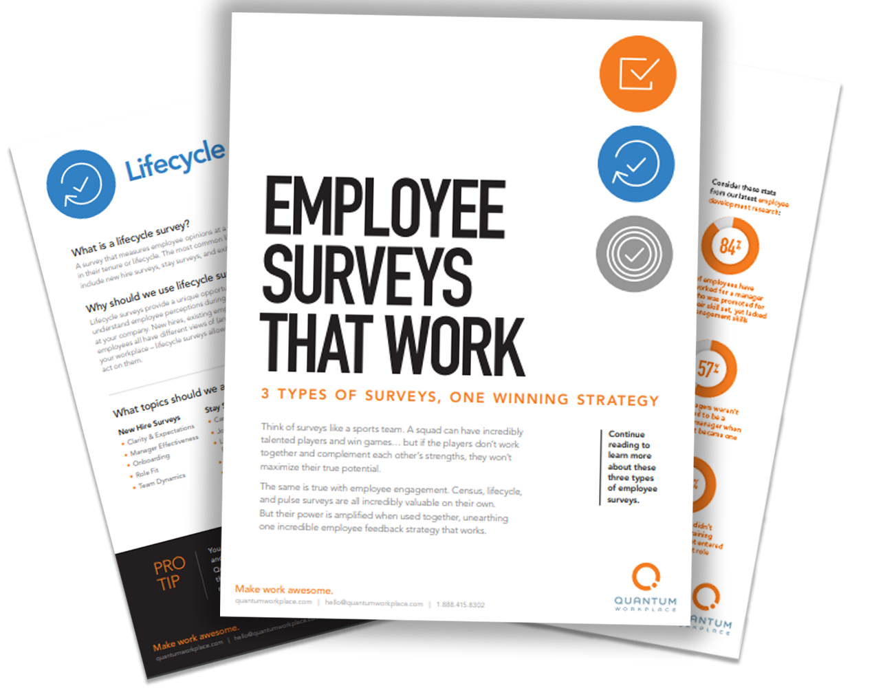 Employee Surveys That Work